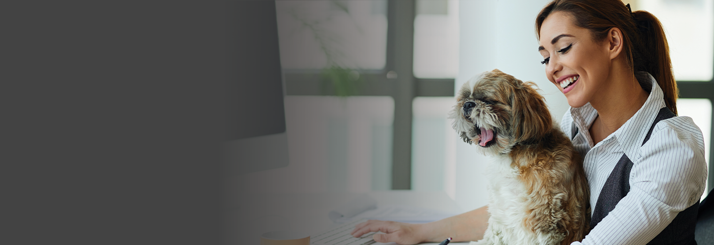 Veterinary Office Assistant NorQuest College Edmonton Alberta veterinary-office-assistant-norquest-college-edmonton-alberta